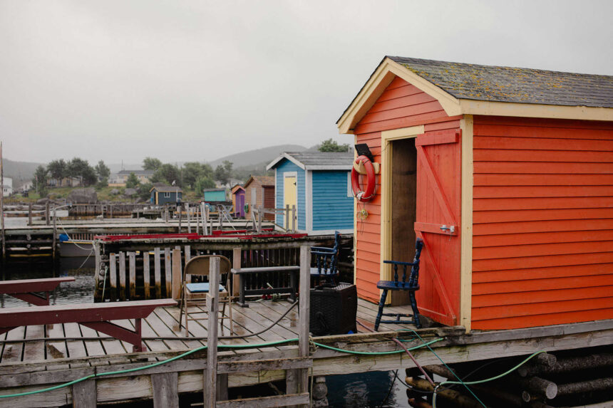 Theatre Newfoundland Labrador – Producing Professional Theatre in ...